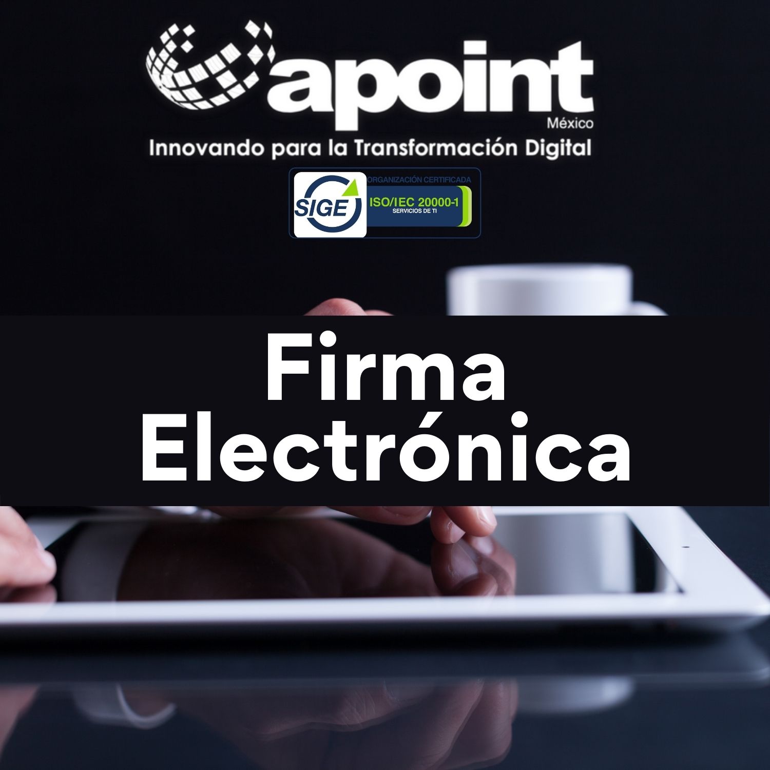 Apoint MX